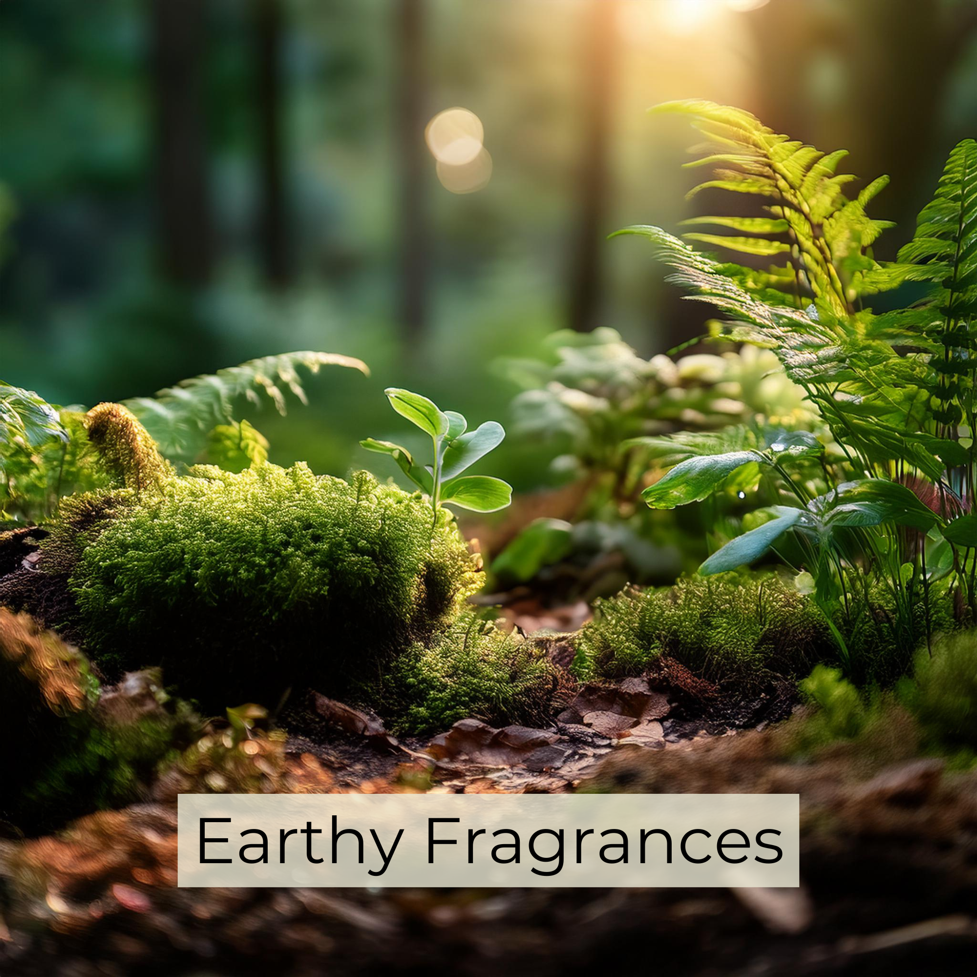 Earthy Fragrance Oils | Grounding Candle Scents | Pakistan Candle Supplies